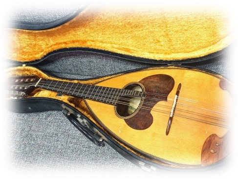 HAL0210のポートフォリオ